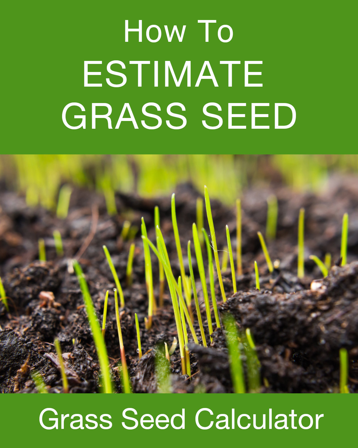 Grass Seed Calculator - Inch Calculator