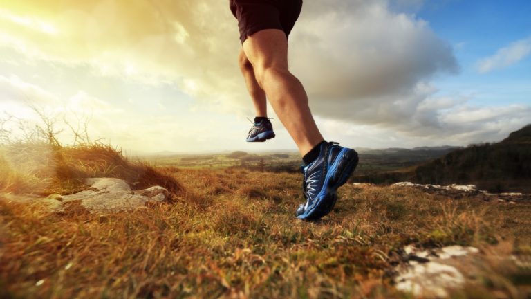 Pace Calculator - Find Running Pace, Distance, & Time - Inch Calculator