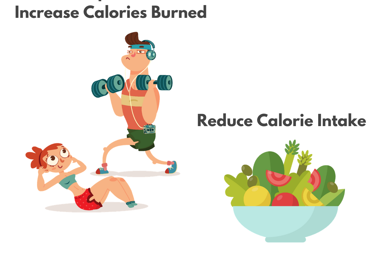 Weight Loss Calculator Calculate A Calorie Deficit To Lose Weight